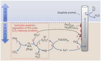 Bridging spatially segregated redox zones with a microbial ...