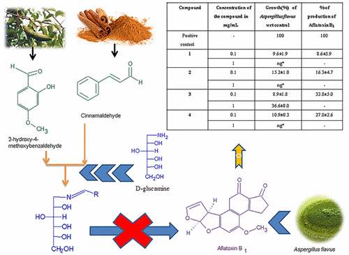 Antiaflatoxigenic and Antimicrobial Activities of Schiff Bases of 2-Hydroxy-4 ...