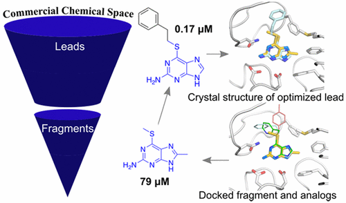 Fragment-Based Discovery and Optimization of Enzyme Inhibitors by ...