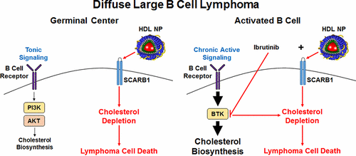 Rational Targeting of Cellular Cholesterol in Diffuse Large B-Cell Lymphoma (DLBCL) Enabled by ...