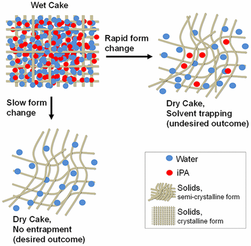 Form Conversion and Solvent Entrapment during API Drying,Organic ...