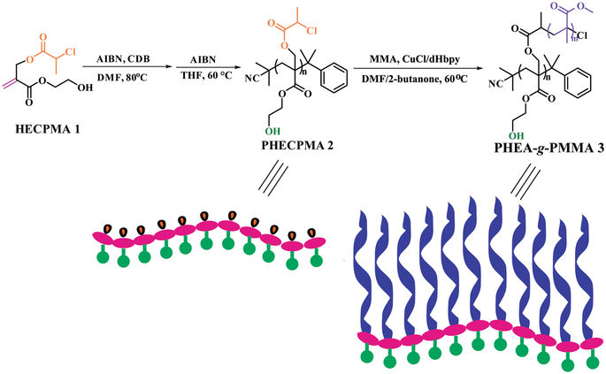 PHEA-g-PMMA定义明确的接枝共聚物：疏水和亲水客体分子的ATRP合成，自组装和同步包封。,Scientific Reports - X-MOL