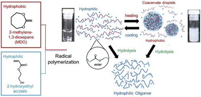 Facile preparation of degradable thermoresponsive polymers as ...