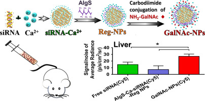 通过静电相互作用组装的纳米颗粒的GalNAc生物功能化可改善靶向肝的siRNA,Journal of Controlled Release ...