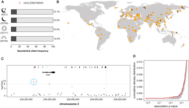 The Contribution of Neanderthals to Phenotypic Variation in Modern ...