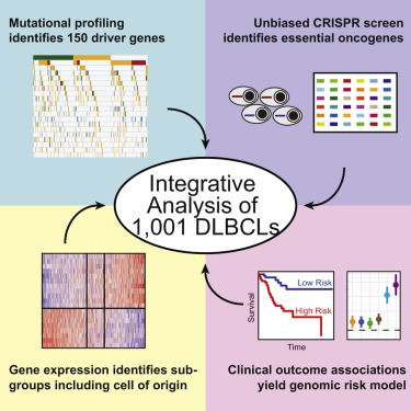 弥漫性大B细胞淋巴瘤的遗传和功能驱动因素。,Cell - X-MOL