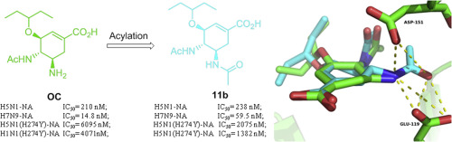 Synthesis and biological evaluation of NH2-acyl oseltamivir analogues as potent neuraminidase ...