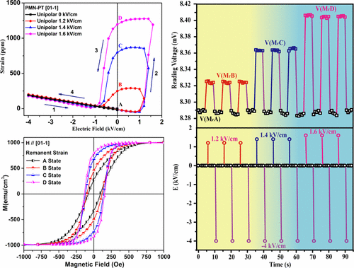 Electric Field Manipulated Multilevel Magnetic States Storage in FePt ...