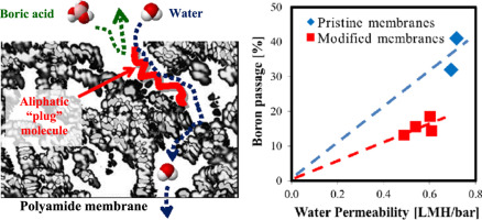 Modification of polyamide membranes by hydrophobic molecular plugs for ...