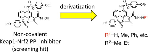 Discovery of benzo[g]indoles as a novel class of non-covalent Keap1 ...