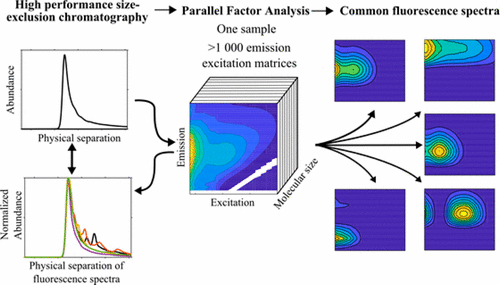 一样品PARAFAC方法揭示了溶解有机物中荧光组分的分子大小分布,Environmental Science & Technology - X-MOL