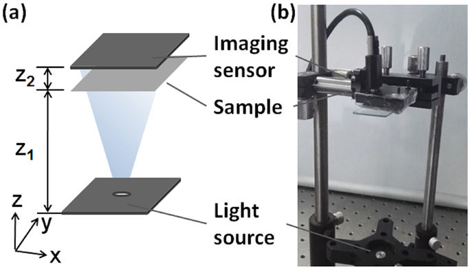 Multilayer pixel super-resolution lensless in-line holographic ...