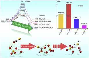Mechanistic and kinetic study on the catalytic hydrolysis of COS in ...