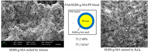 In Situ Formation of the Core–Shell Particles and Their Function in ...