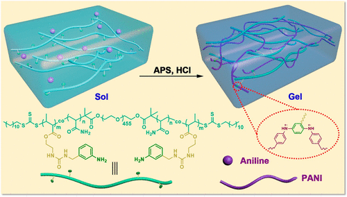 A Triblock Copolymer Design Leads to Robust Hybrid Hydrogels for High ...