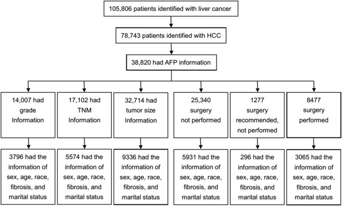 The prognostic correlation of AFP level at diagnosis with pathological ...