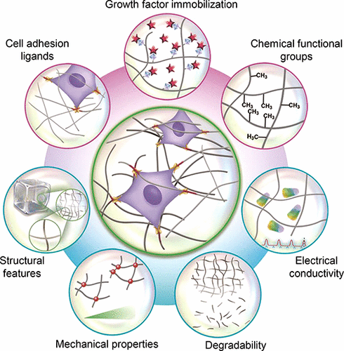 Functional and Biomimetic Materials for Engineering of the Three ...
