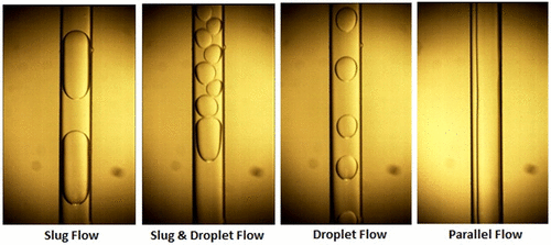 Liquid–Liquid Two-Phase Flow Patterns in Y-Junction Microchannels ...