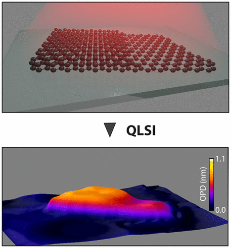 Optical Imaging and Characterization of Graphene and Other 2D Materials ...