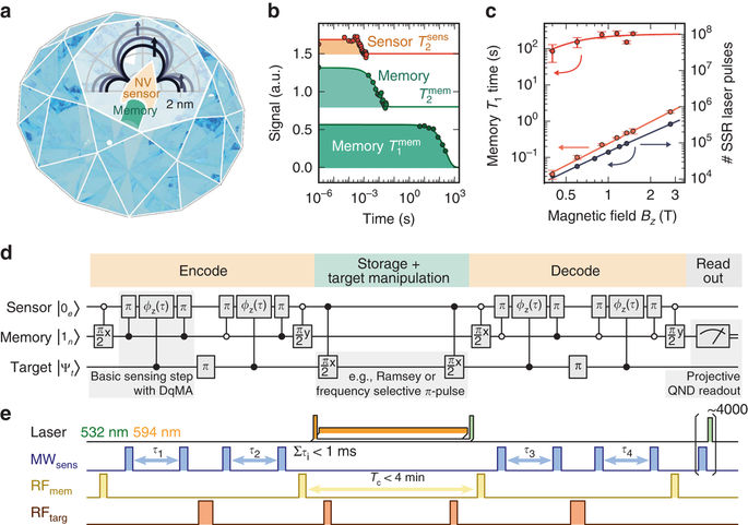 Nonvolatile nuclear spin memory enables sensor-unlimited nanoscale ...