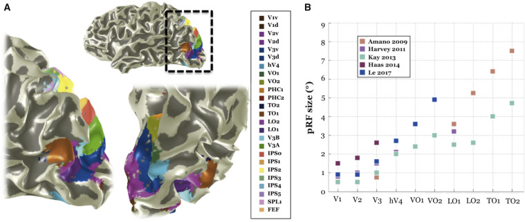 诊断阅读的神经回路。,Neuron - X-MOL