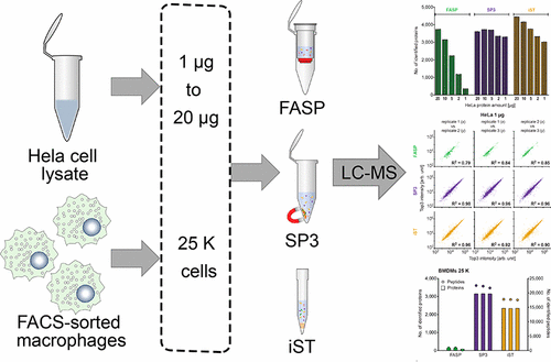 Evaluation of FASP, SP3, and iST Protocols for Proteomic Sample ...