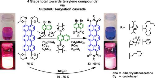 Practical Syntheses of Terrylene Chromophores from Naphthalene and ...