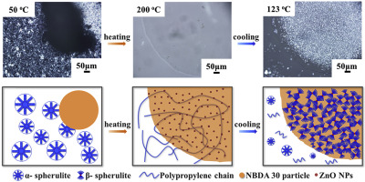 A novel self-dispersed β nucleating agent for isotactic polypropylene ...