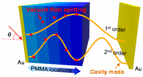 Vibrational Strong Coupling Controlled by Spatial Distribution of ...