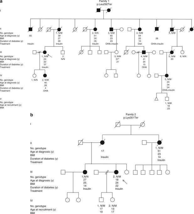 Heterozygous RFX6 protein truncating variants are associated with MODY ...