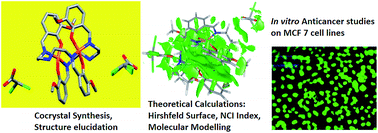Biological evaluation of dinuclear copper complex/dichloroacetic acid cocrystal against human ...