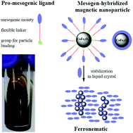 Structuralization of magnetic nanoparticles in 5CB liquid crystals,Soft ...