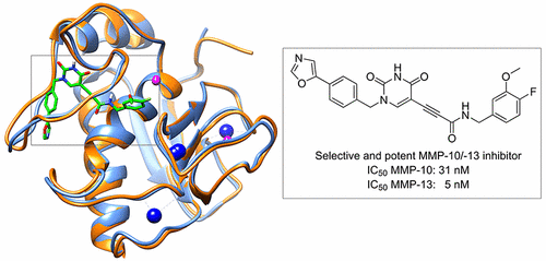 靶向多药理学：发现一种高效的非羟肟酸酯双重基质金属蛋白酶（MMP）-10 / -13抑制剂,Journal of Medicinal Chemistry - X-MOL