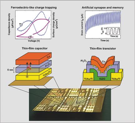 Ferroelectric‐Like Charge Trapping Thin‐Film Transistors and Their ...