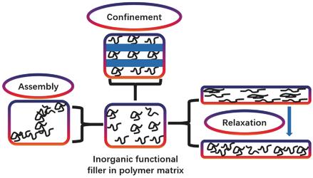 Recent Progress on the Confinement, Assembly, and Relaxation of ...
