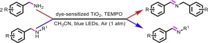 Visible light photocatalysis of dye-sensitized TiO2: The selective ...