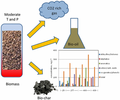 Pressurized Steam Torrefaction of Biomass: Focus on Solid, Liquid, and ...