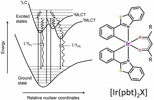 Electronic Nature of New Ir(III) Complexes: Linear Spectroscopic and ...