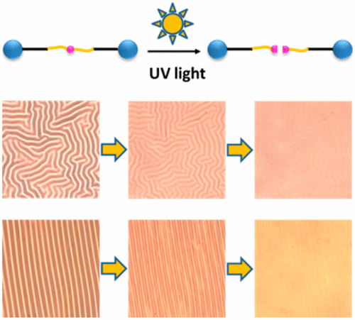 Light-Modulated Surface Micropatterns with Multifunctional Surface ...