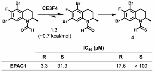 Structure–Activity Relationship Studies with Tetrahydroquinoline ...
