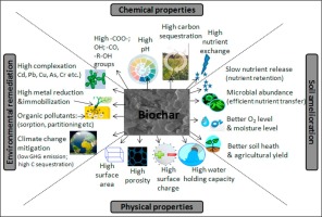 Environmental application of biochar: Current status and perspectives ...