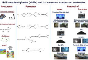 N-Nitrosodimethylamine (NDMA) and its precursors in water and ...