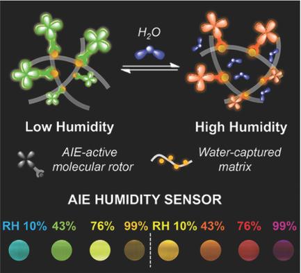 Multiscale Humidity Visualization by Environmentally Sensitive ...