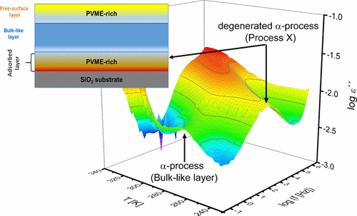 Unraveling the Dynamics of Nanoscopically Confined PVME in Thin Films ...