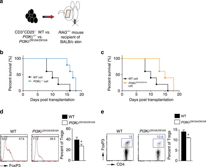 PI3Kγ和PI3Kδ对T细胞同种免疫的调节。,Nature Communications - X-MOL