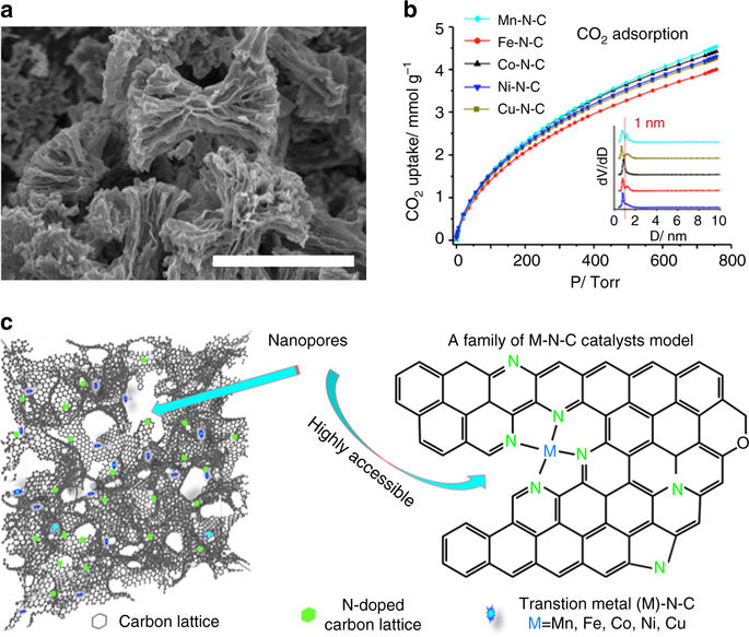 Understanding activity and selectivity of metal-nitrogen-doped carbon ...