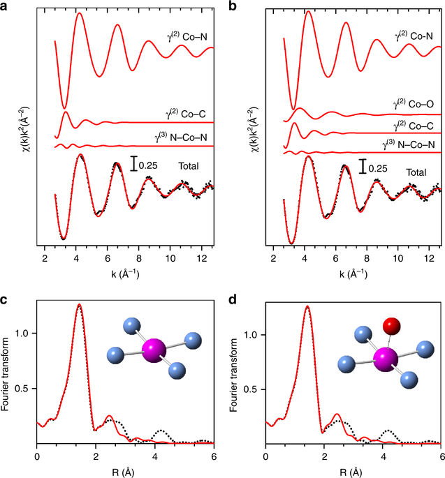 Identification of catalytic sites in cobalt-nitrogen-carbon materials ...