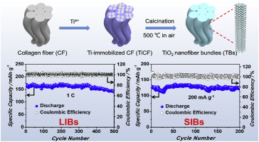 Hierarchically ordered mesoporous TiO 2 nanofiber bundles derived from ...