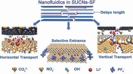 Engineering 2D Nanofluidic Li‐Ion Transport Channels for Superior Electrochemical Energy Storage ...