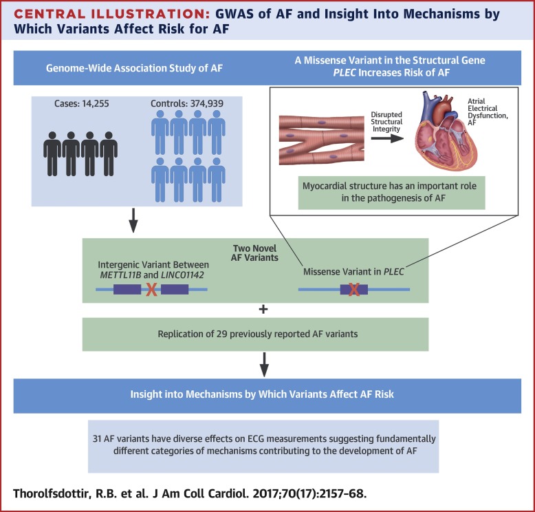A Missense Variant in PLEC Increases Risk of Atrial Fibrillation ...